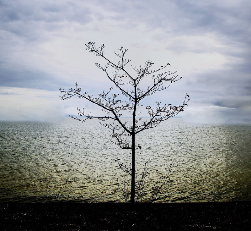 Sage Practices | Our Self-Care and Wellbeing Programme | NZ Wide